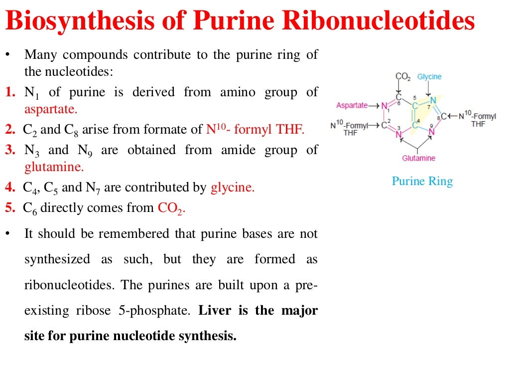 Nucleic Acid Metabolism