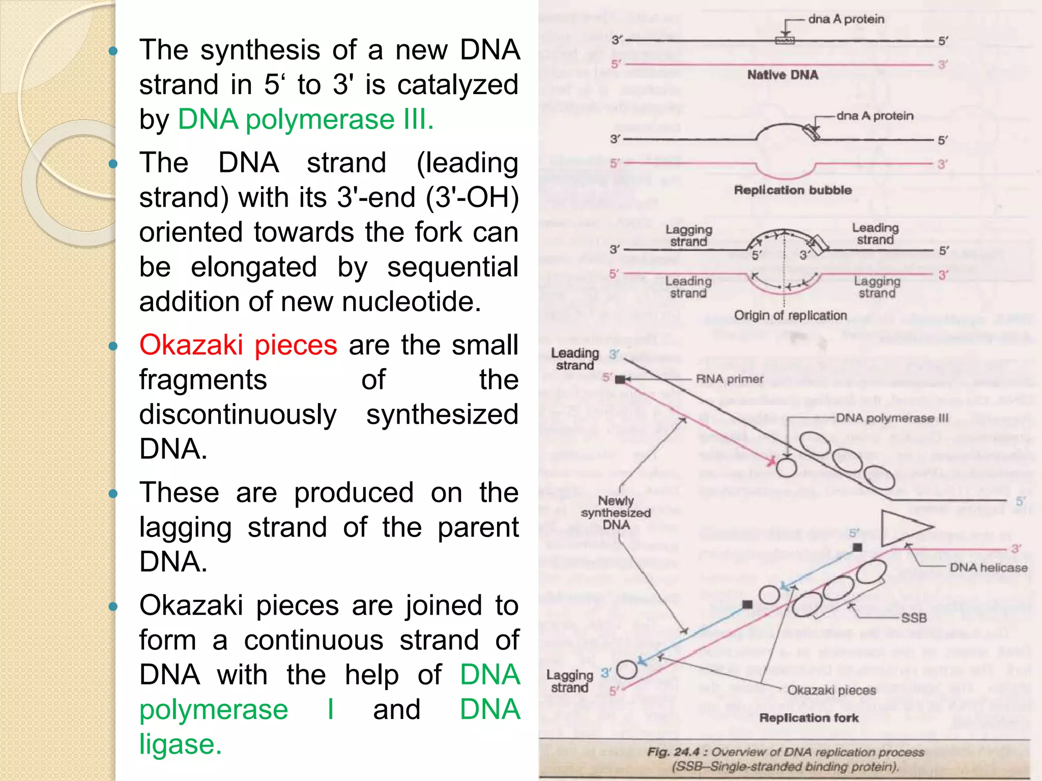Nucleic acid metabolism and genetic information transfer | PPTX
