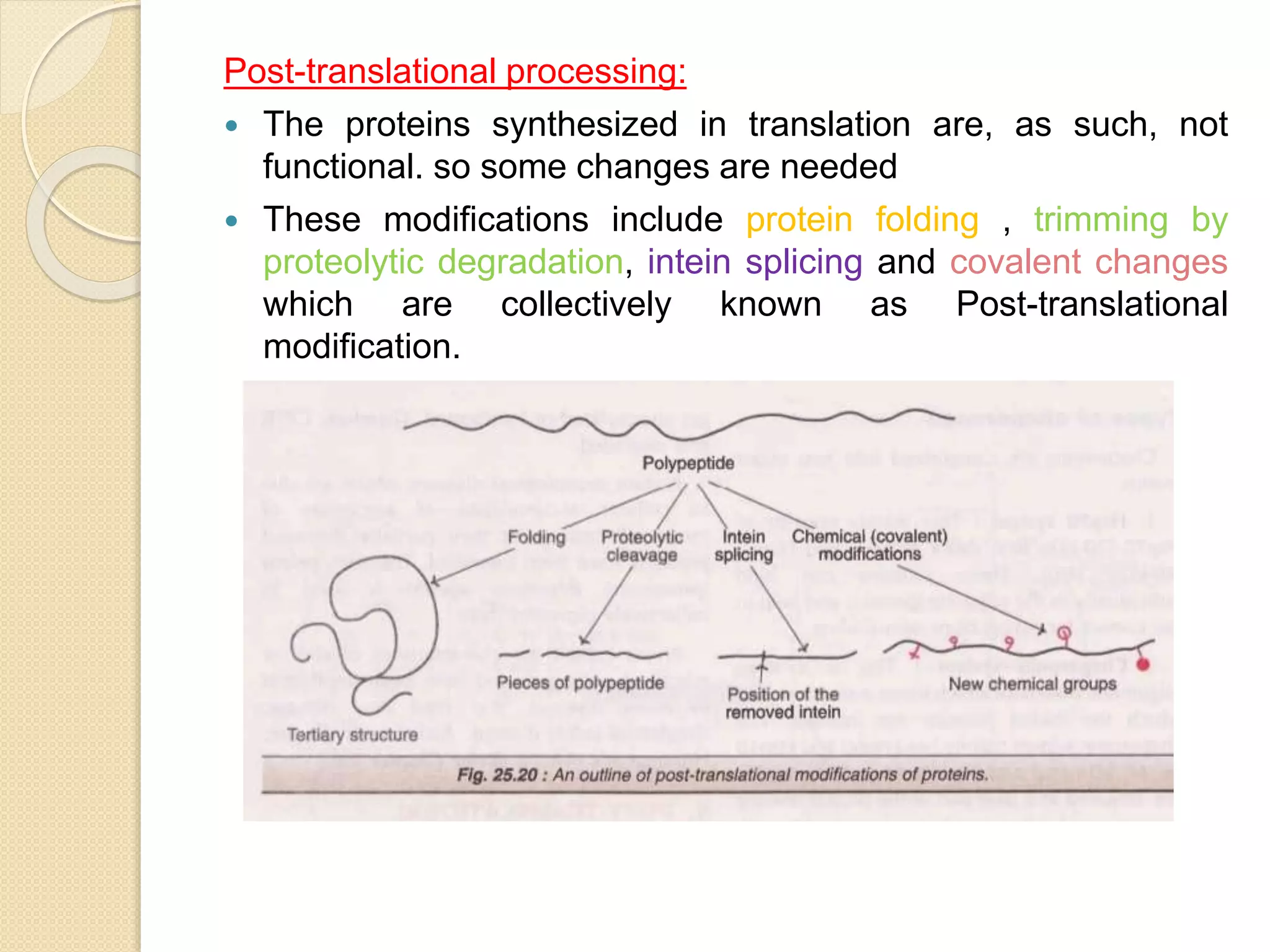 Nucleic acid metabolism and genetic information transfer | PPTX