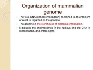 Nucleic acid metabolism and genetic information transfer | PPTX