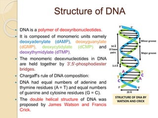 Nucleic acid metabolism and genetic information transfer | PPTX