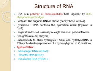 Nucleic acid metabolism and genetic information transfer | PPTX