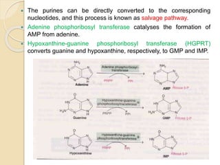 Nucleic acid metabolism and genetic information transfer | PPTX