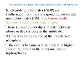 NUCLEIC ACID METABOLISM new-2.pptx heujs | PPTX