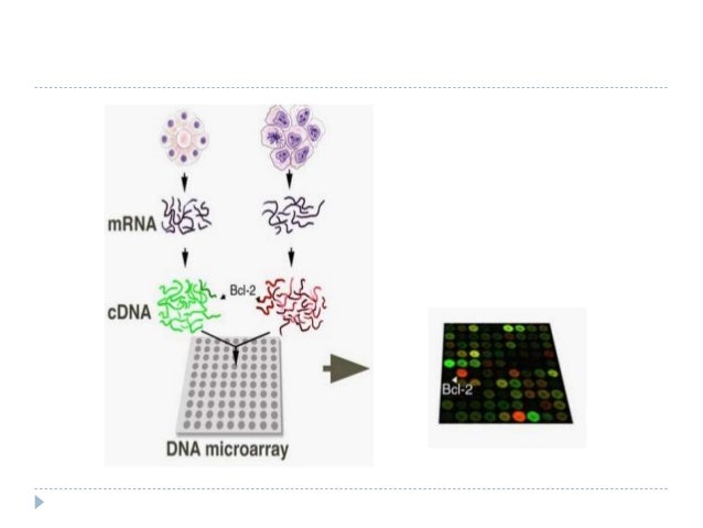 Nucleic acid microarray