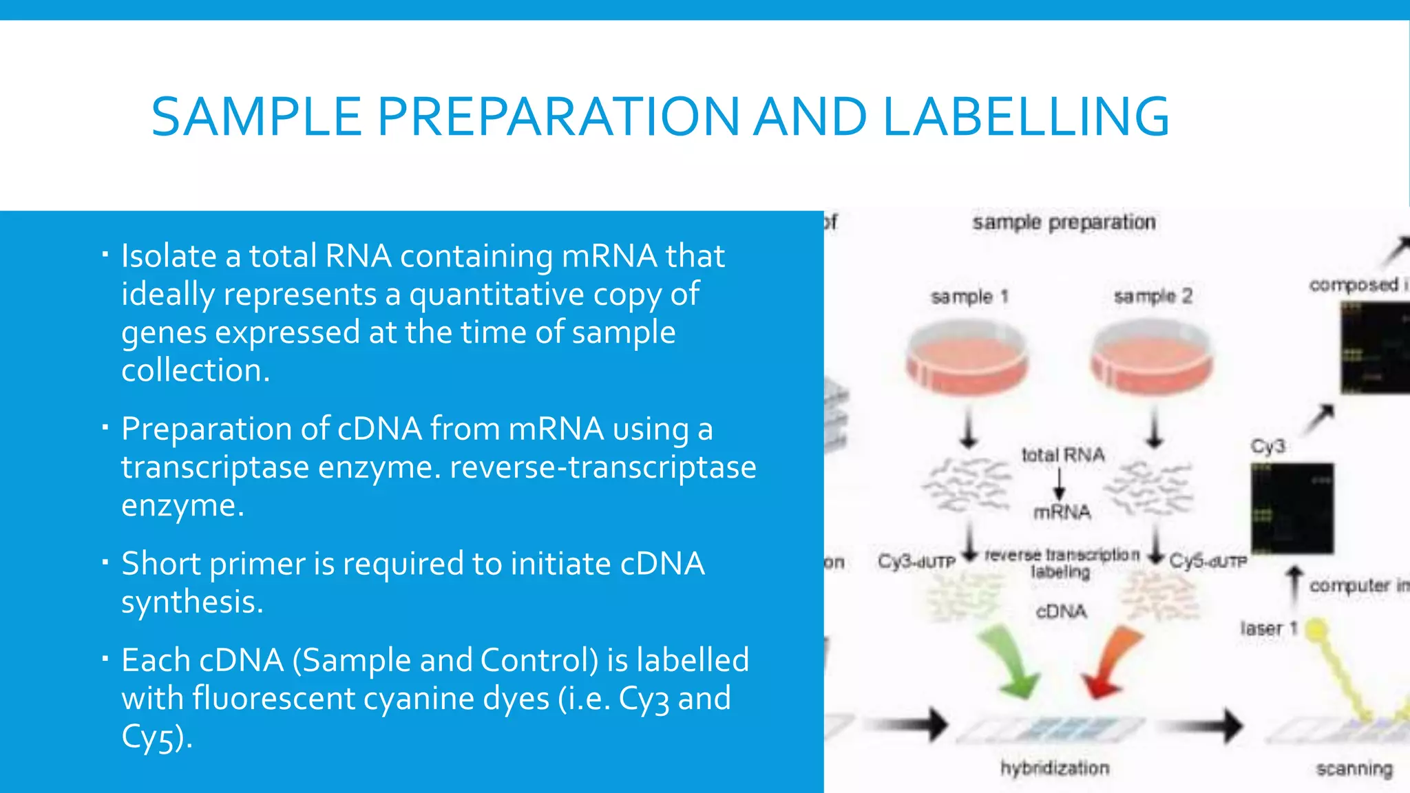 Nucleic acid microarray.pptx