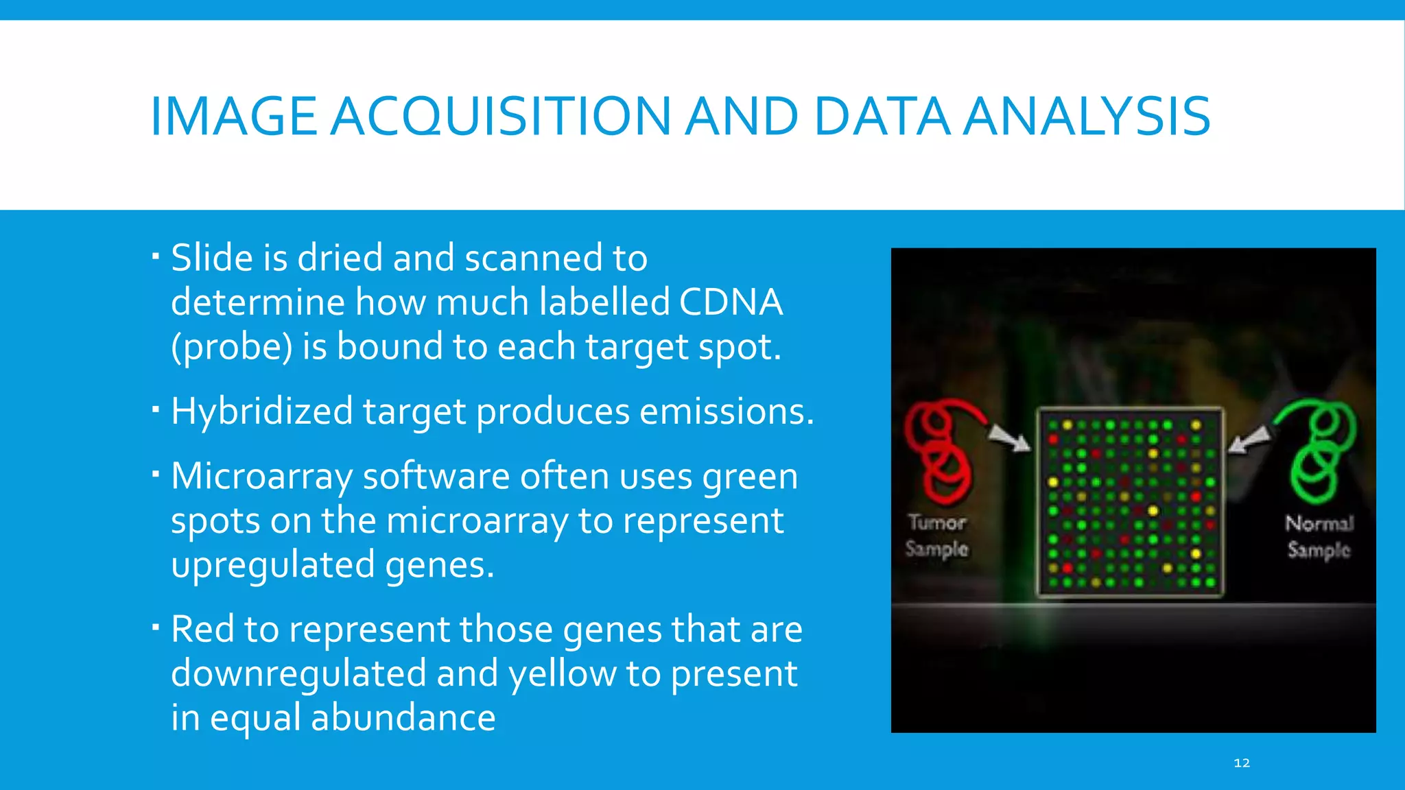 Nucleic Acid Microarray Pptx