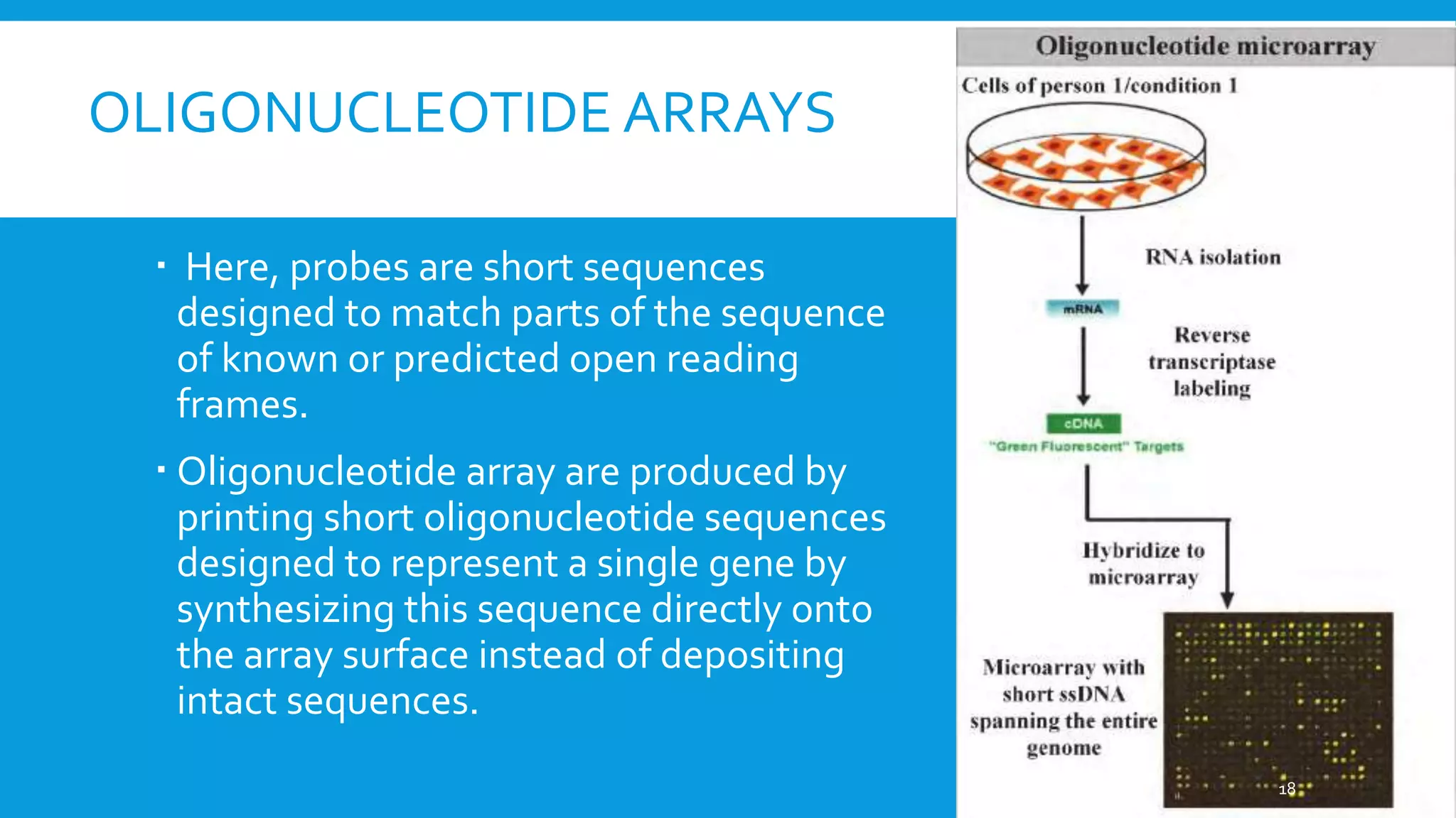 Nucleic Acid Microarray Pptx