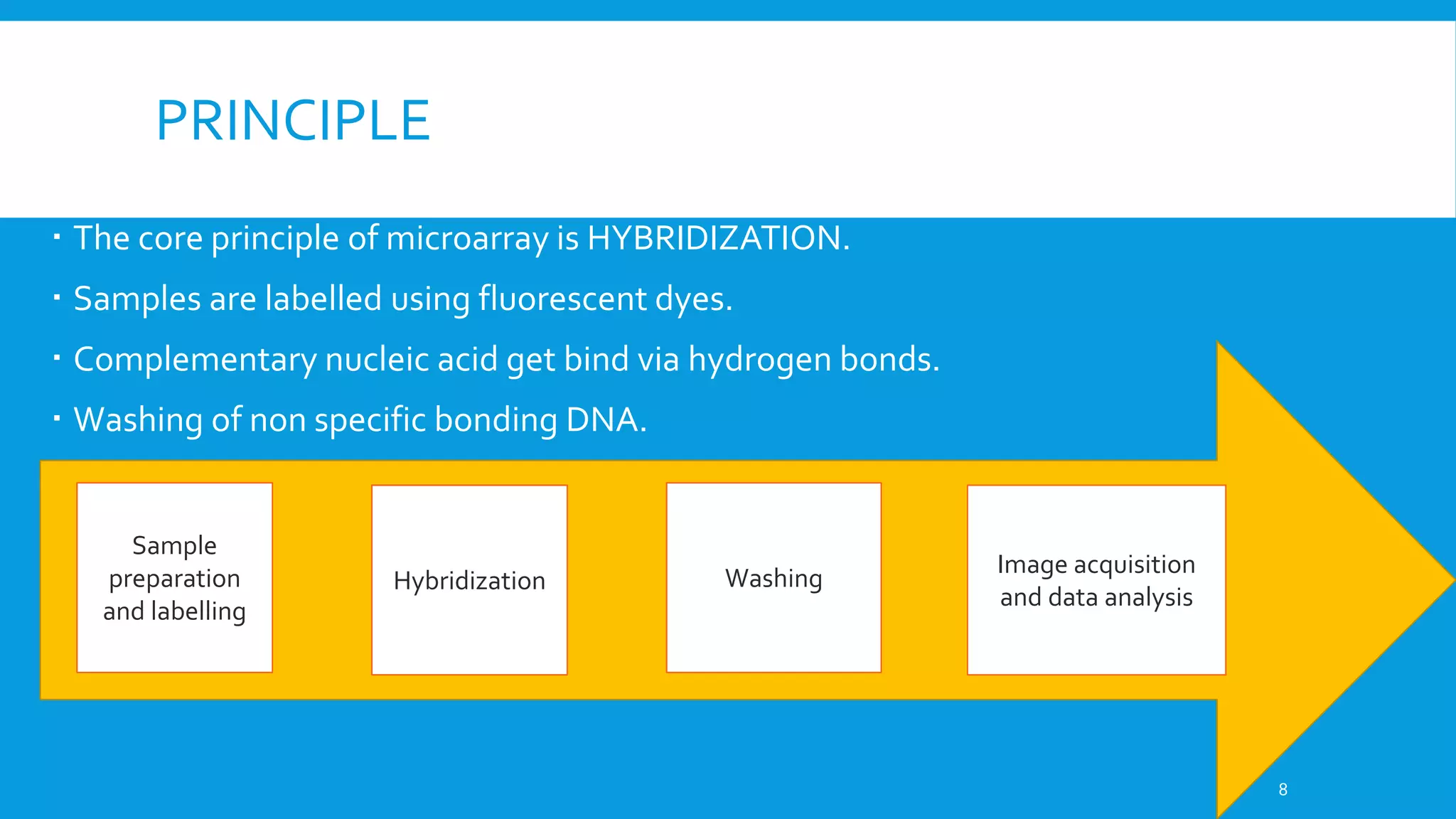 Nucleic Acid Microarray Pptx