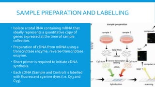 Nucleic acid microarray.pptx
