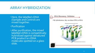 Nucleic acid microarray.pptx