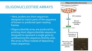 Nucleic acid microarray.pptx