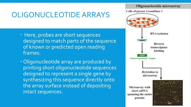 Nucleic acid microarray.pptx