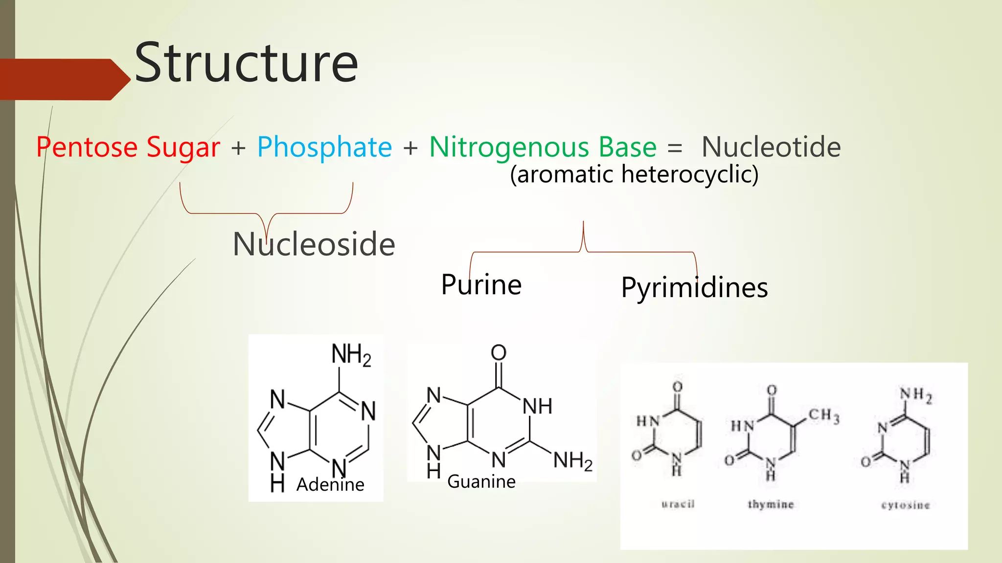 Nucleic acid & Nucelotides | PPTX