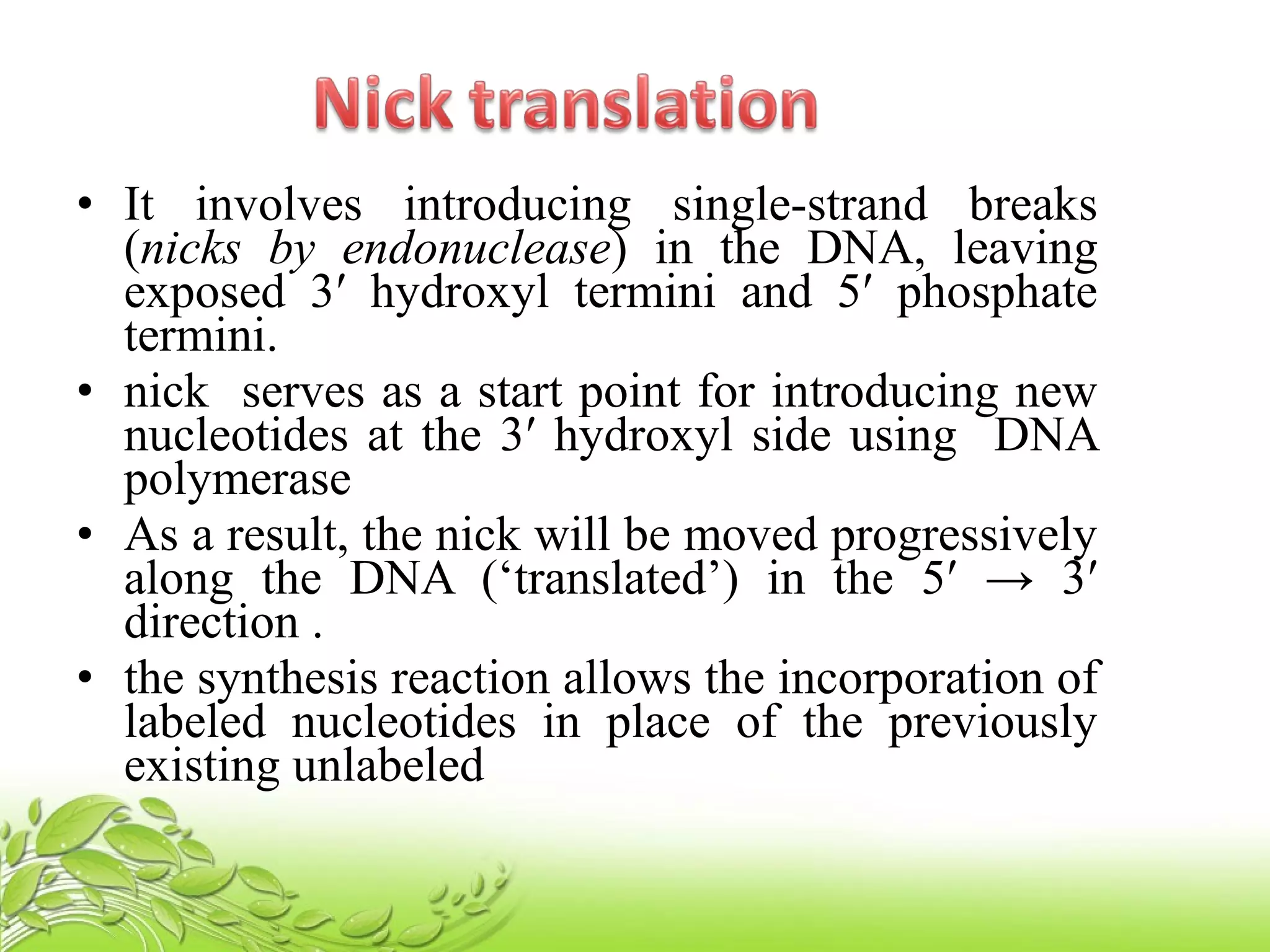 Nucleic acid probes | PPT