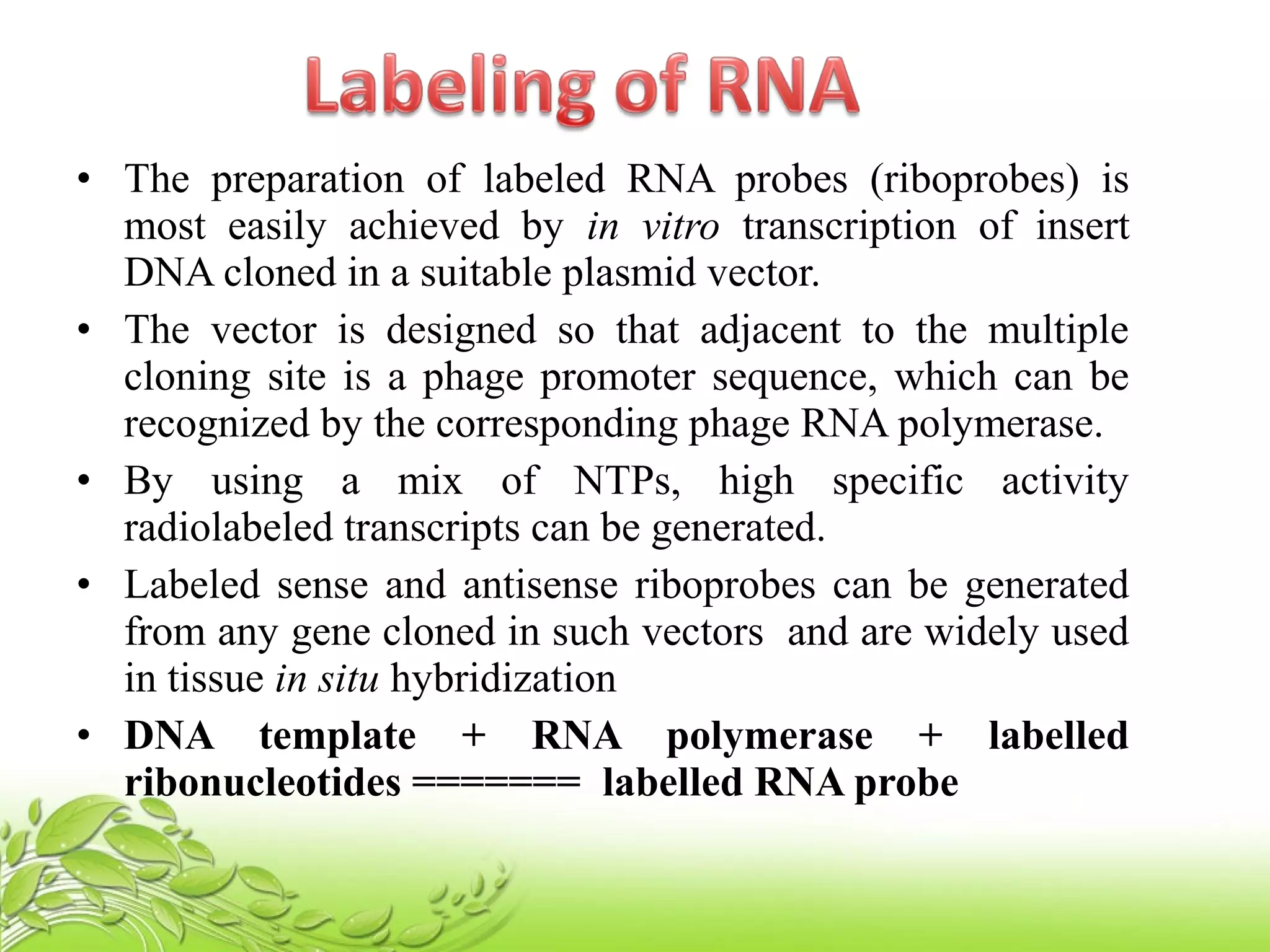 Nucleic acid probes | PPT