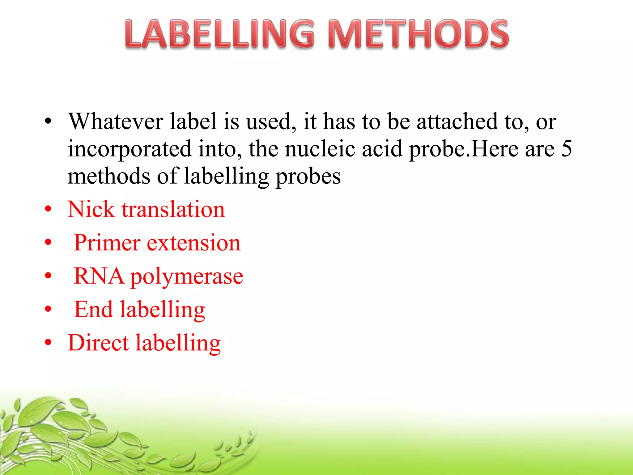 Nucleic acid probes | PPT