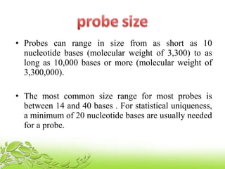 Nucleic acid probes | PPT