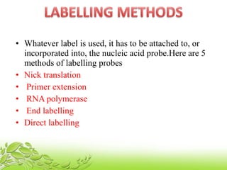 Nucleic acid probes | PPT