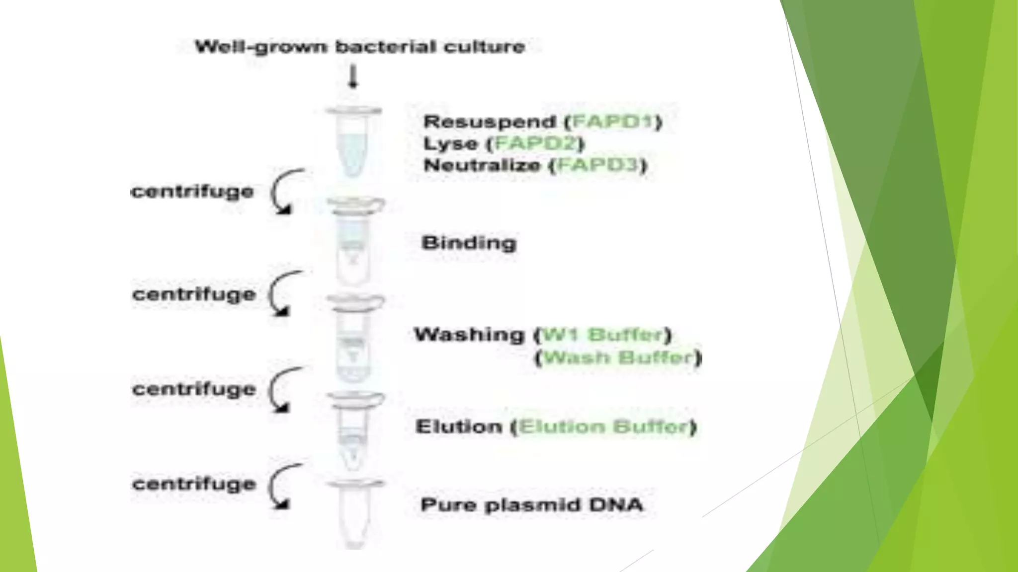 Nucleic Acid Purification | PPTX