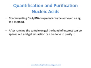 Nucleic Acid Quantification Methods - DNA / RNA Quantification | PPTX
