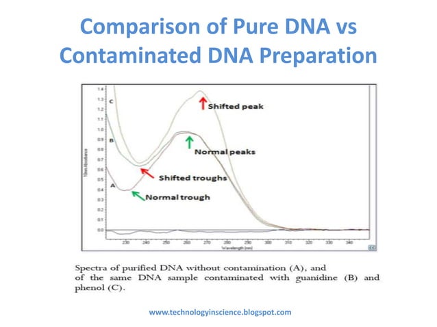 Nucleic Acid Quantification Methods - DNA / RNA Quantification | PPT Nucleic Acid Quantification Methods - DNA / RNA Quantification | PPT
