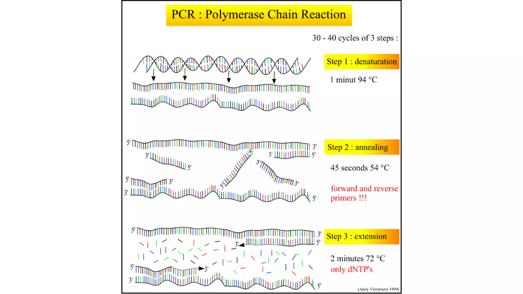 Nucleic acid diagnostic and removal technics from biopharmaceuticals | PPTX