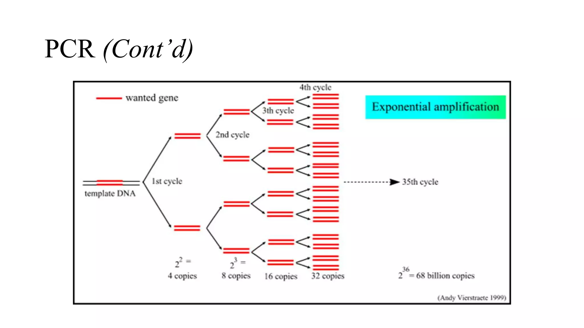 Nucleic acid diagnostic and removal technics from biopharmaceuticals | PPTX