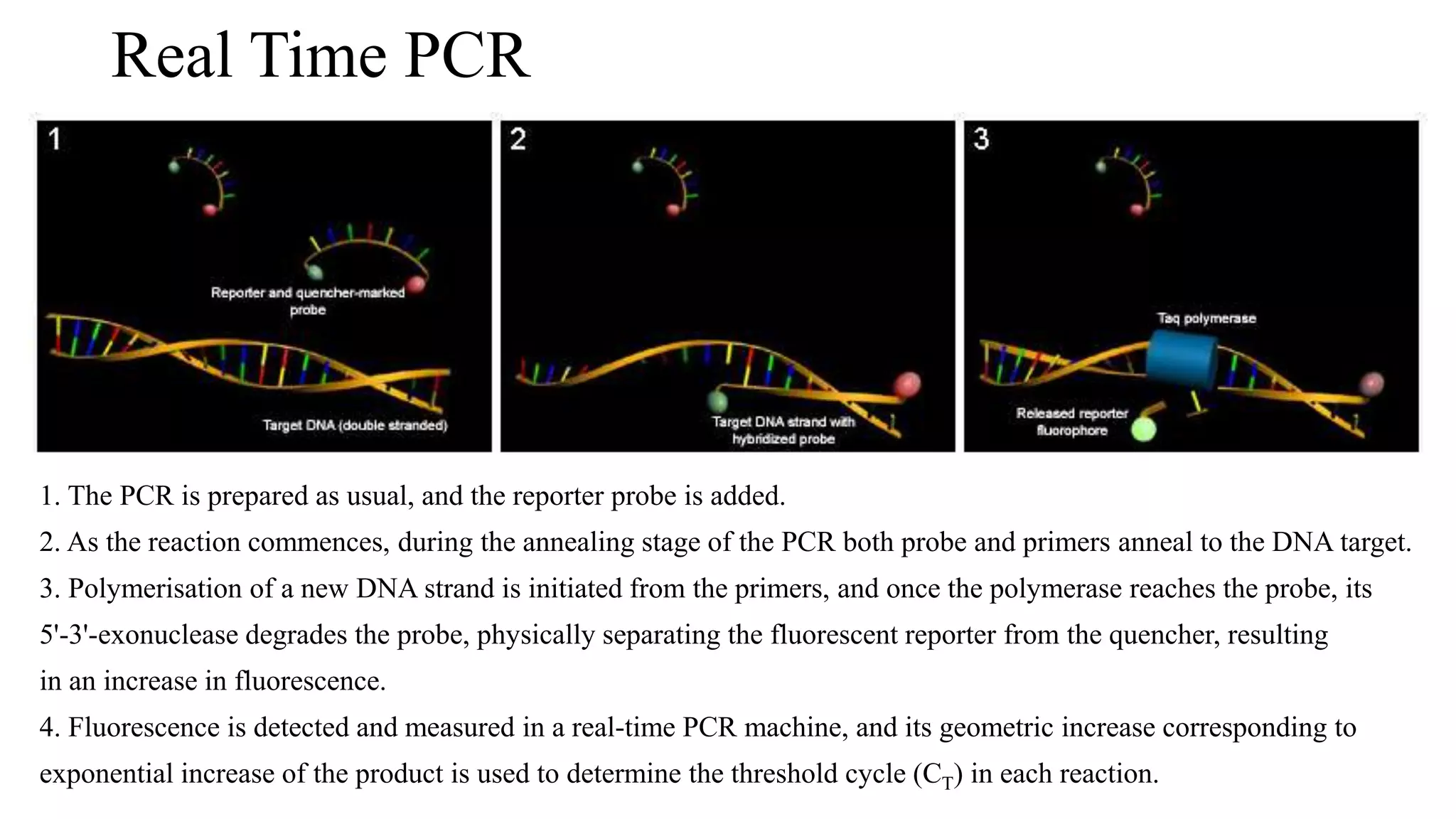 Nucleic acid diagnostic and removal technics from biopharmaceuticals | PPTX
