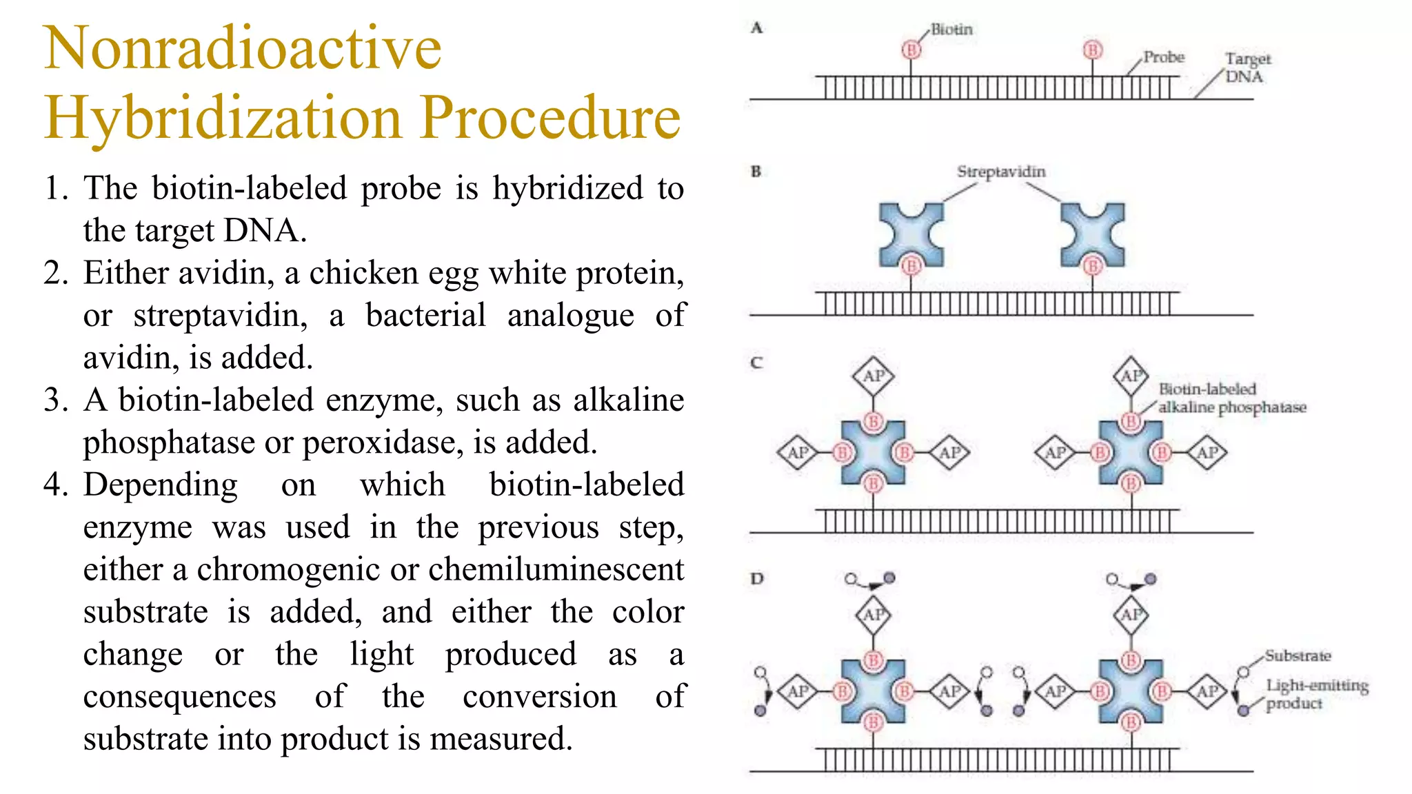 Nucleic acid diagnostic and removal technics from biopharmaceuticals | PPTX