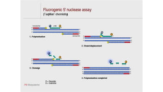 Nucleic acid diagnostic and removal technics from biopharmaceuticals | PPTX