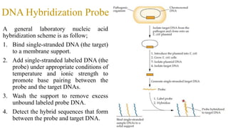 Nucleic acid diagnostic and removal technics from biopharmaceuticals | PPTX