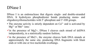Nucleic acid diagnostic and removal technics from biopharmaceuticals | PPTX
