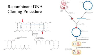 Nucleic acid diagnostic and removal technics from biopharmaceuticals | PPTX