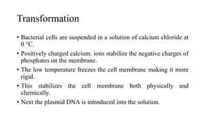 Nucleic acid diagnostic and removal technics from biopharmaceuticals | PPTX
