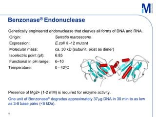 Overcoming challenges of host cell DNA removal in vaccine manufacturing ...