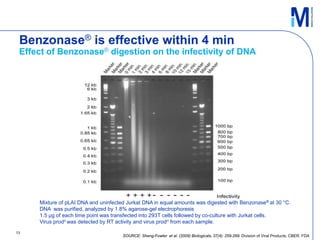 Overcoming challenges of host cell DNA removal in vaccine manufacturing ...