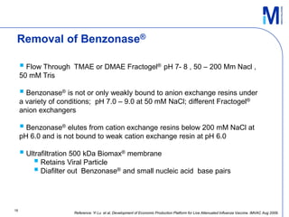 Overcoming challenges of host cell DNA removal in vaccine manufacturing ...