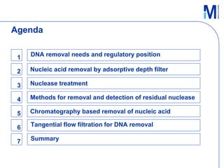 Overcoming challenges of host cell DNA removal in vaccine manufacturing ...
