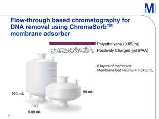 Overcoming challenges of host cell DNA removal in vaccine manufacturing ...