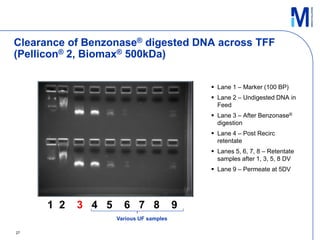 Overcoming challenges of host cell DNA removal in vaccine manufacturing ...