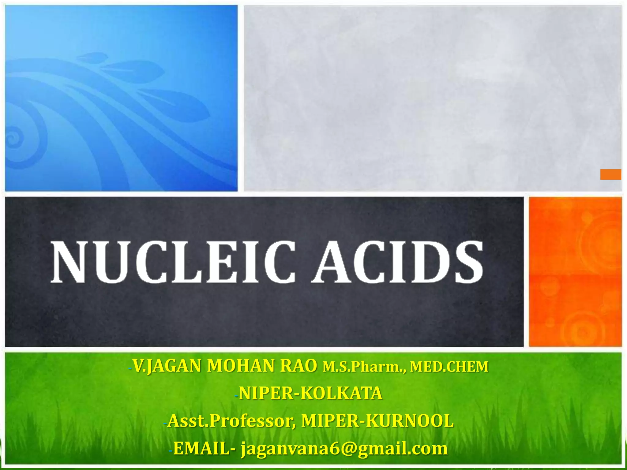 Nucleic acids 1 | PPT