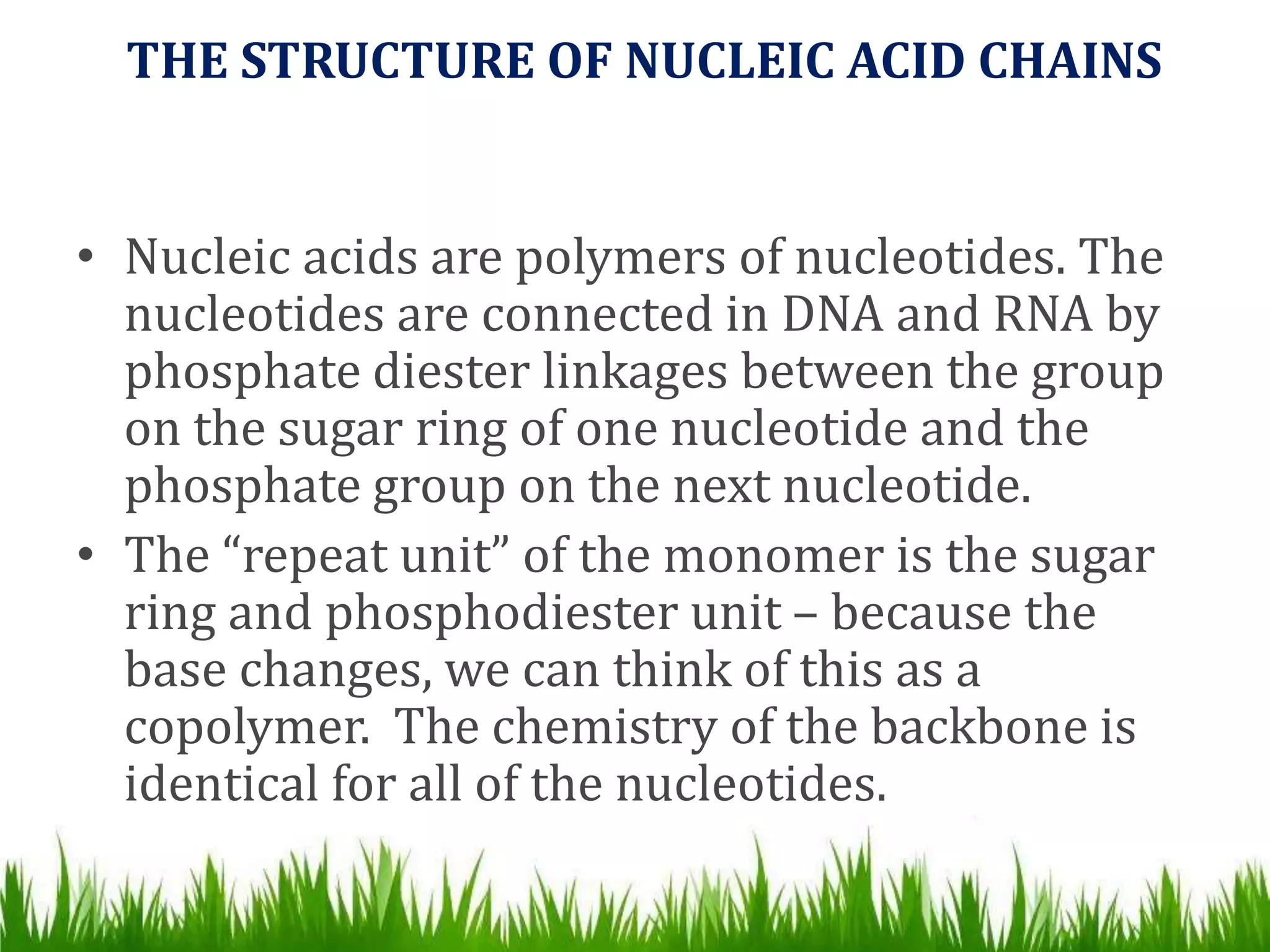 Nucleic acids 1 | PPT