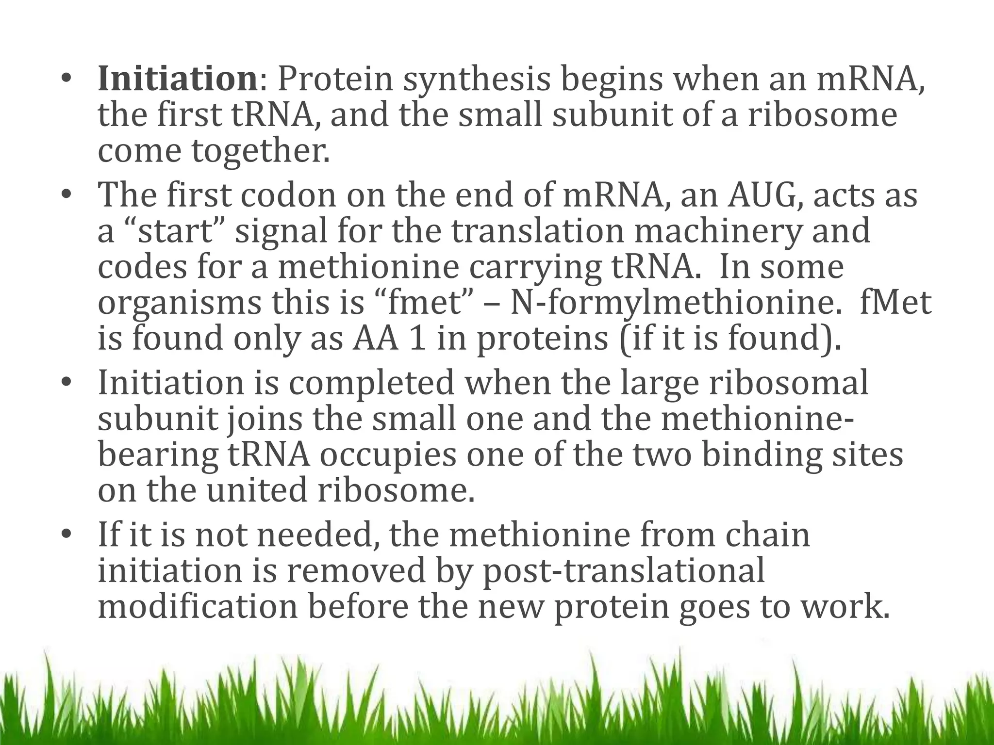 Nucleic acids 1 | PPT