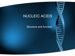 Nucleic acids | PPTX