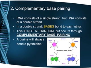 Nucleic acids | PPTX