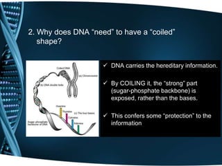 Nucleic acids | PPTX