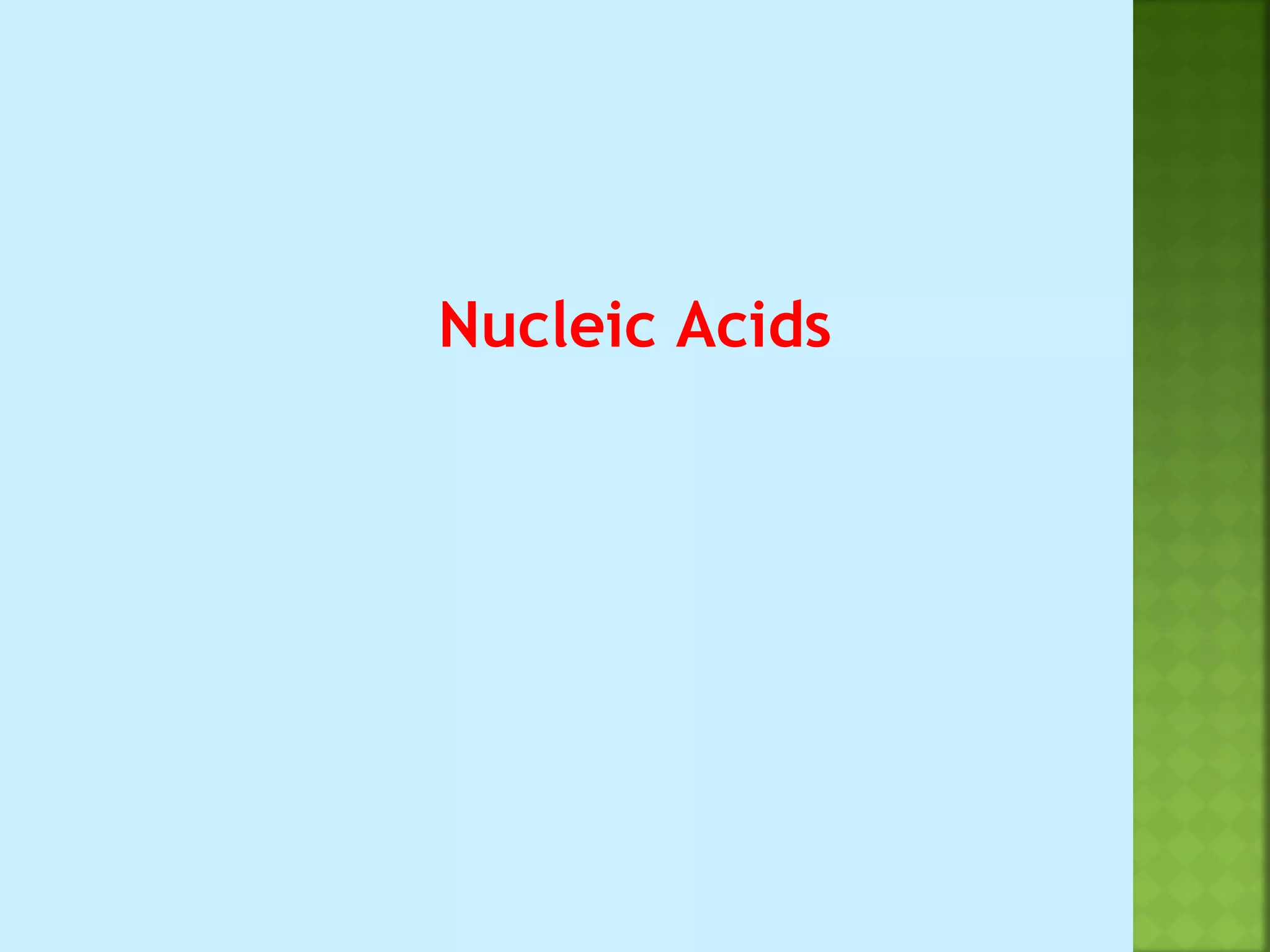 Nucleic acids | PPT