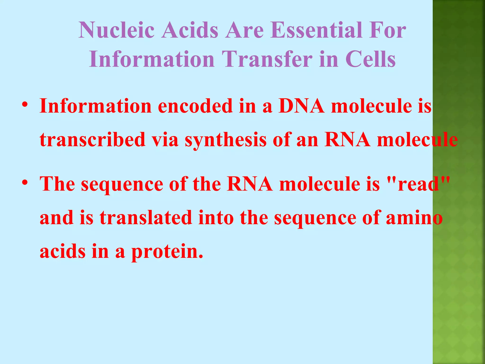 Nucleic acids | PPT