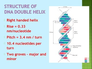 Nucleic acids | PPT